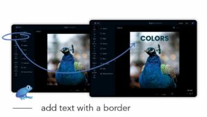 How to add text with a border – Ribbet Blog