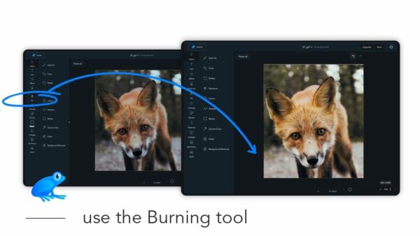 How to use the Burning tool – Ribbet Blog