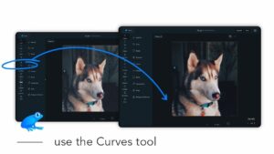 How to use the Curves tool – Ribbet Blog