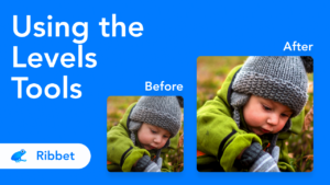 How to use the Levels tool – Ribbet Blog